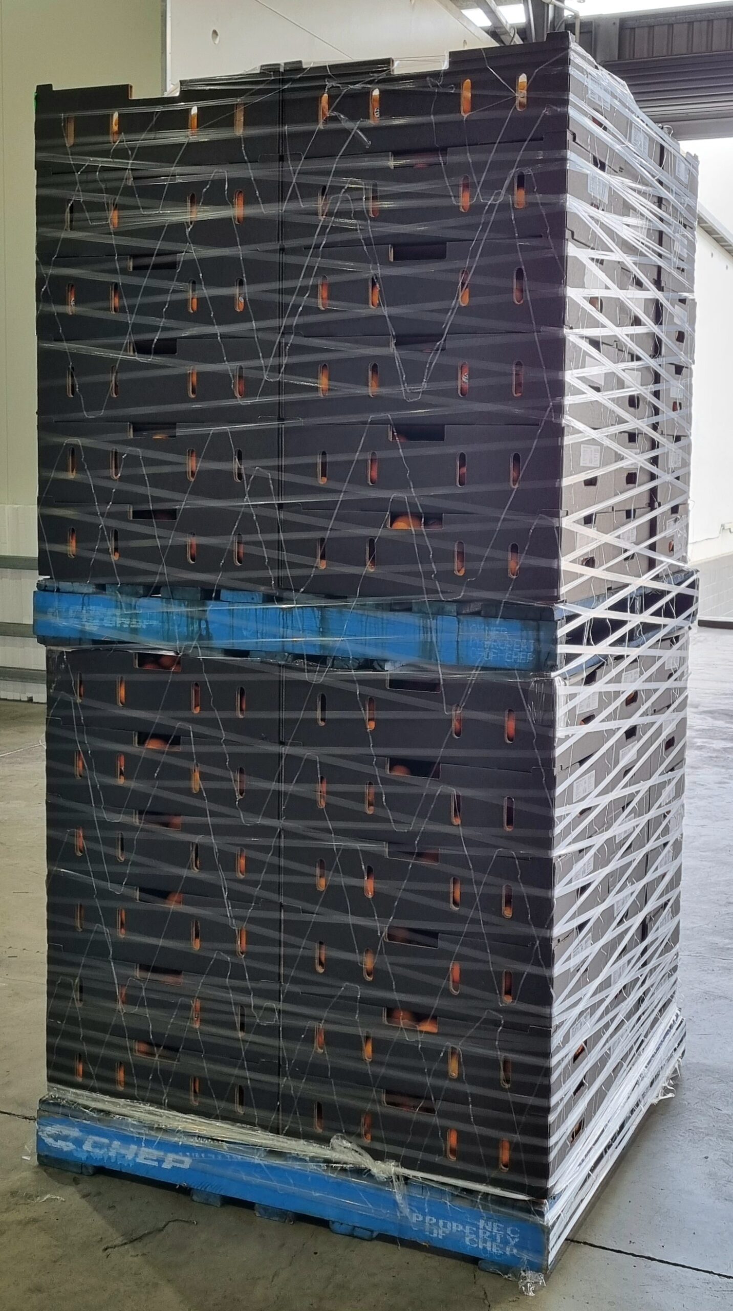 Tama’s Innovent High-Strength Ventilated Pallet Wrap: A Game-Changer ...