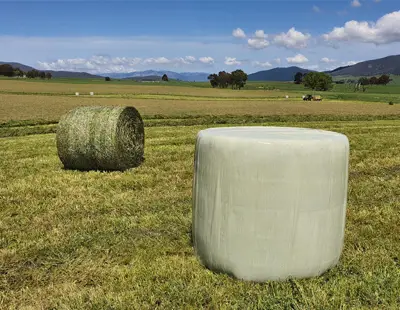 Ensuring High-Quality Silage: Avoiding Common Pitfalls | Tama Australia